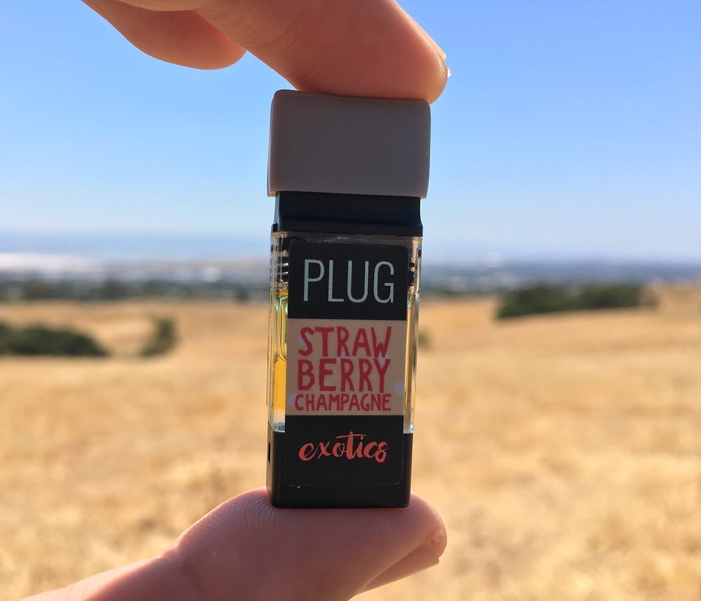 Plug and Play Vape Review - Possibly The Strongest THC Oil Pen Out There