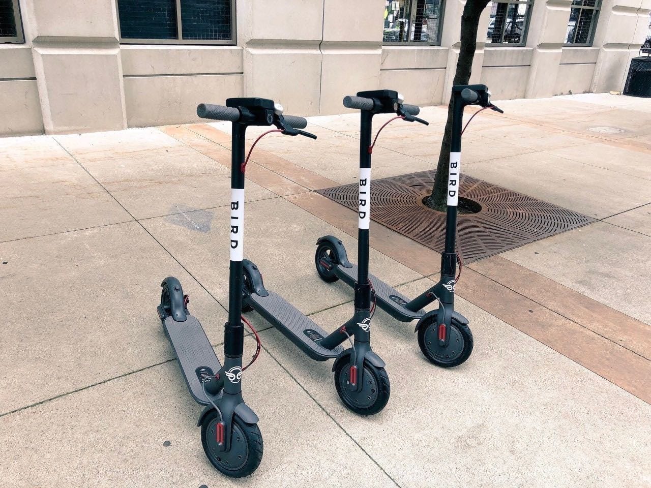 Lime vs Bird - Is Bird The Word? Or Is It Lime Time? - DabConnection