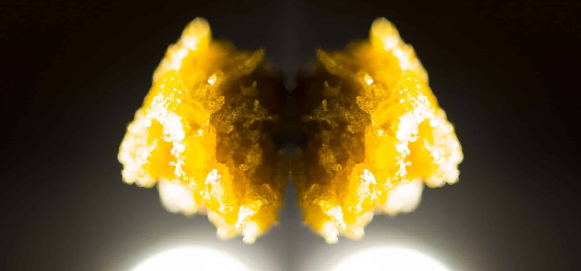 Wax