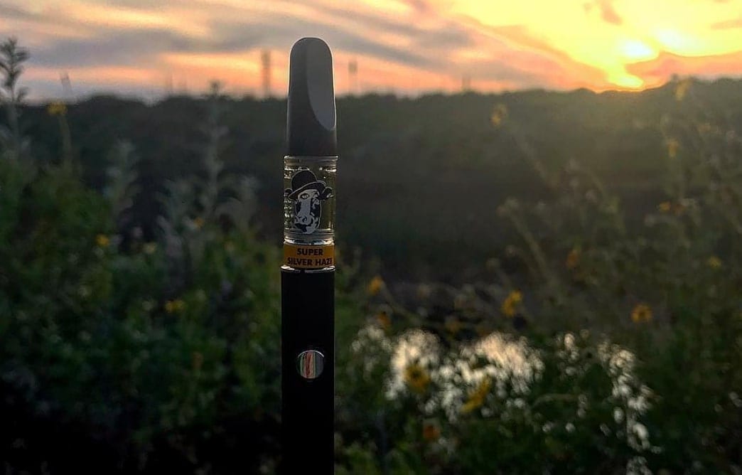 Korova Cartridge Review : A True Standout - DabConnection