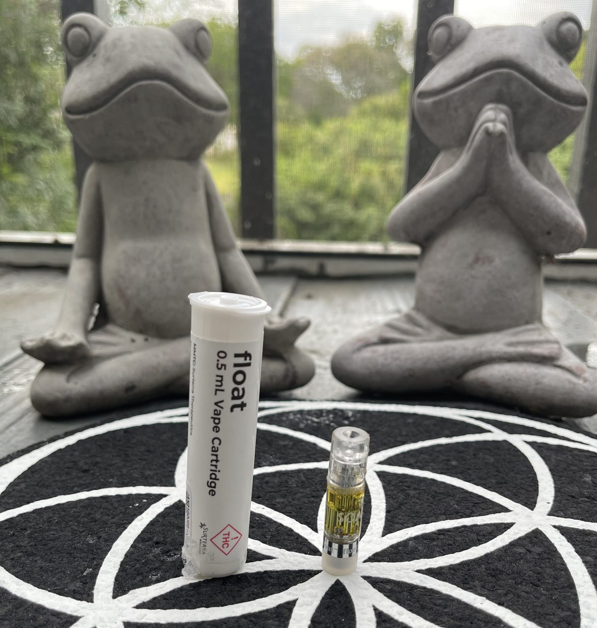 FLOAT Full-Spectrum Distillate Oil Cart Review - Strong but Expensive