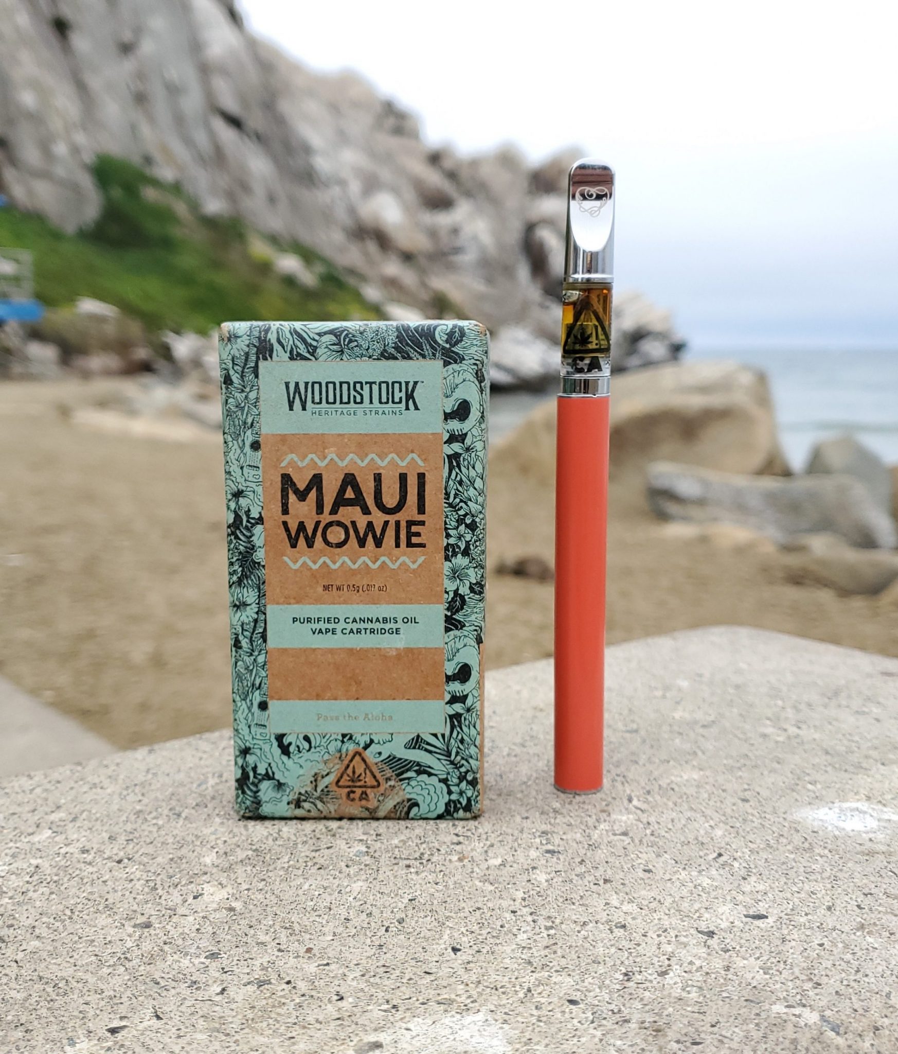 Stache ConNectar Review – Easy To Use and Discreet