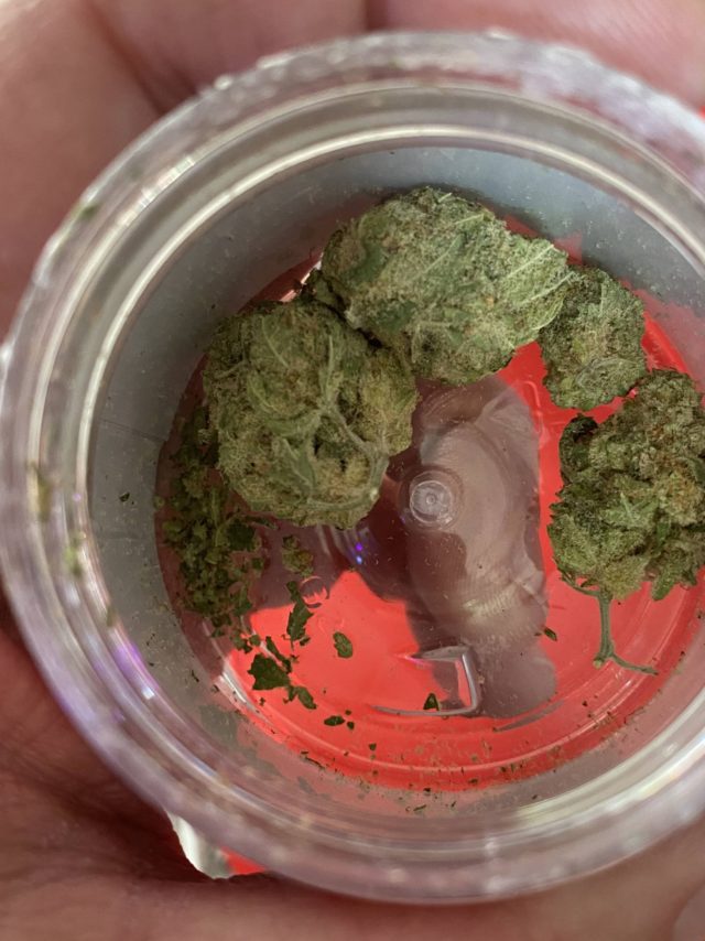 Curaleaf Hella Jelly Flower Review - Chill as Hell