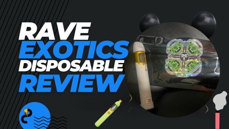 Reviews Archives - DabConnection